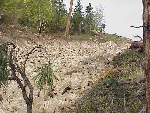 Gilt Edge Mine Superfund Site – Phase 2 Ruby Gulch Waste Repository and ...